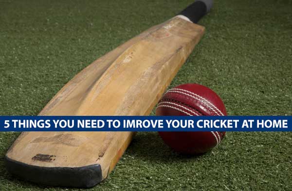 5 must have accessories if you want to improve your cricket at home ...