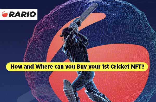 How can you Own your First Cricket NFT on Rario? - Female Cricket