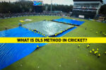 What is DLS Method in Cricket? How It Works and Affects Rain ...
